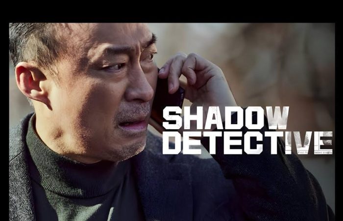 Shadow Detective: A Veteran Detective is Framed for Murder