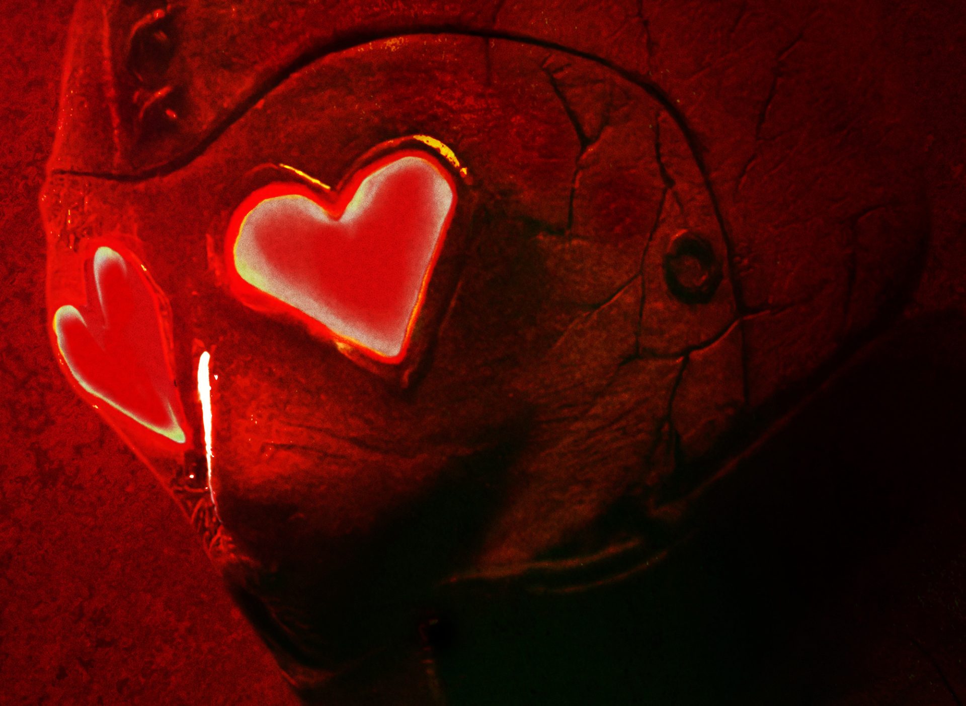 Heart Eyes Behind-the-Scenes & Horror Comedy Blu-Ray Release 2025